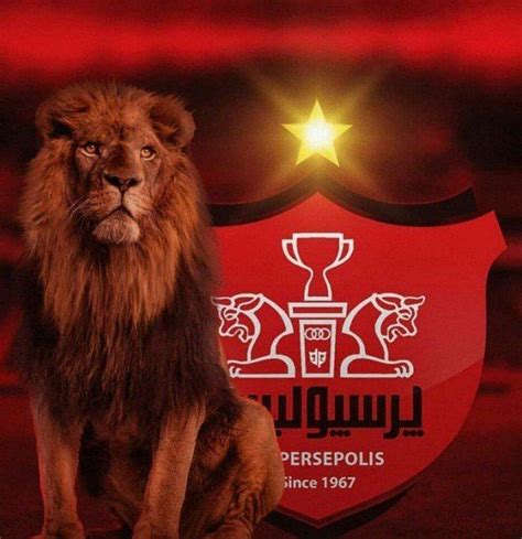 با دم‌ شیر بازی نکنید عاقبت خوبی نداره طرفداری