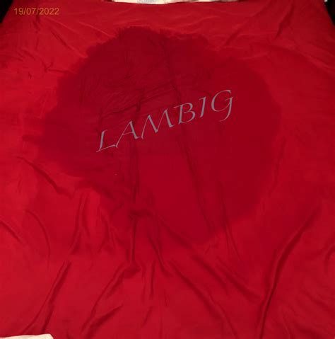 Nia Went Peea Omorashi Artwork Omoorg