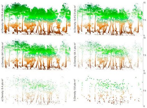 Forests Free Full Text Analyzing Tls Scan Distribution And Point Density For The Estimation