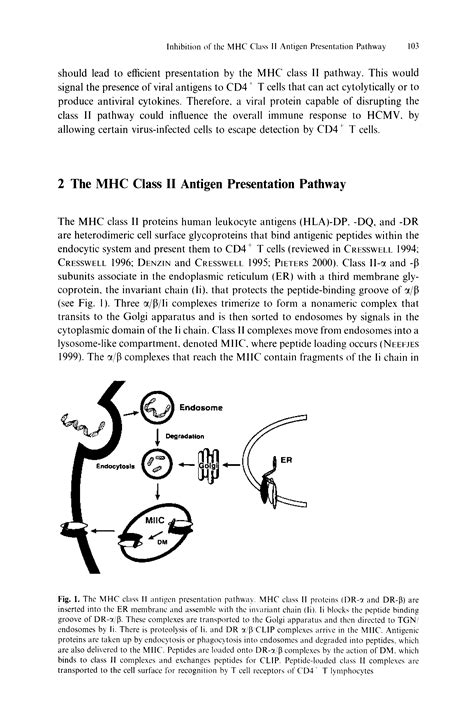 invariant chain big chemical encyclopedia