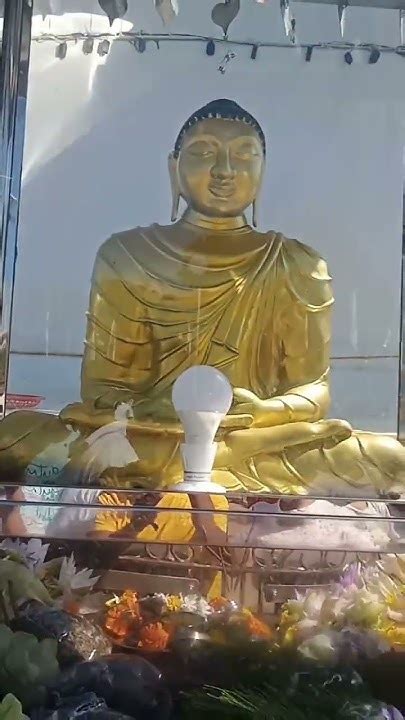 කිරි වෙහෙර සෑරදුන් අබියස 2024 12 25 Youtube