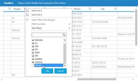 Filtering In Windows Forms Gridgrouping Control Syncfusion