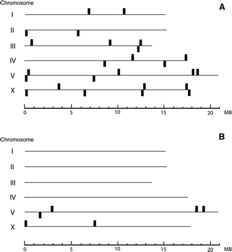 Chromosomal Distribution Of Spontaneous Duplications And Deletions The Download Scientific