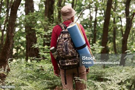 노인의 야외 촬영은 산의 꼭대기에 여행 산에서 노인 관광객은 배낭과 양탄자를 운반 숲 배경을 통해 고립 배낭의 백뷰 활성 휴가 개념입니다 거리에 대한 스톡 사진 및 기타