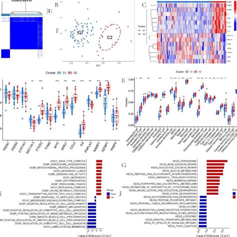 lmrg related subgroups in nafld a consensus clustering matrix with