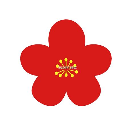 無料イラスト シンプルな梅の花