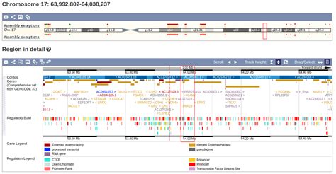 Github Cmdcolinawesome Genome Visualization A List Of Interesting Genome Browser And Genome