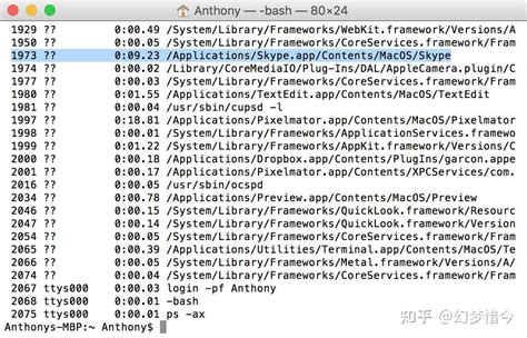 macOs软件卡死关不掉我教你呀 知乎