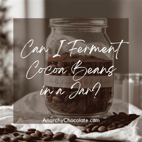 Can I Ferment Cocoa Beans In A Jar Anarchy Chocolate
