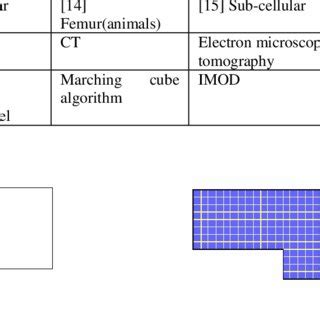 PDF A BRIEF REVIEW OF SURFACE MESHING IN MEDICAL IMAGES FOR BIOMEDICAL COMPUTING AND VISUALIZATION