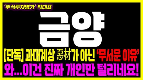 금양 초거대세력 12월 추가 매집 진행중 충격적 매수 이유 공개 금양금양 주가전망lg에너지솔루션 에스엠랩 몽골리튬광산 발포제 수산화리튬 원통형배터리