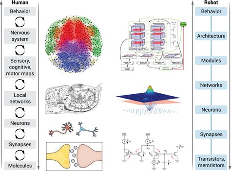 Politics In Science 50 Inventions Where Politicians Pulled The Strings Science Sensei