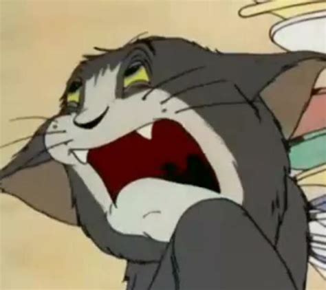 Tom And Jerry Meme Face Crying At Jasper Winder Blog