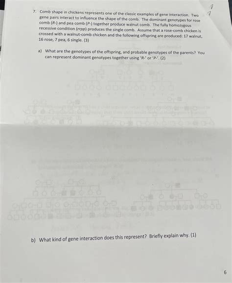 Solved Comb Shape In Chickens Represents One Of The Classic