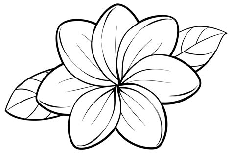 Plumeria Flower Silhouette Line Art Drawing Of A Flower Premium Ai Generated Vector