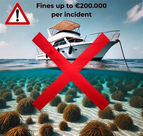 ⚠️ Stay Clear Of Heavy Fines New Real Time Anchor Alert For Flyn