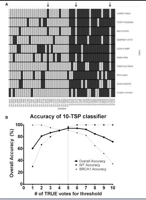 Figure 1 From Brca1 Variant Assessment Using A Simple Analytic Assay Semantic Scholar