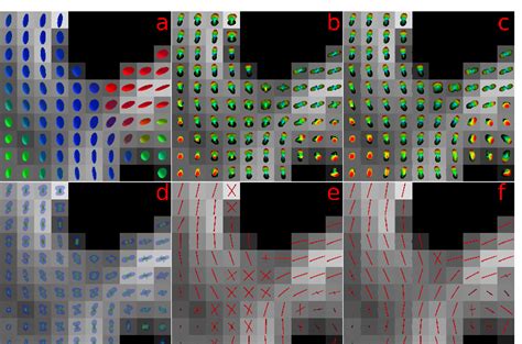 Figures Abcdef A Is A Diffusion Tensor Field The Color Code Is