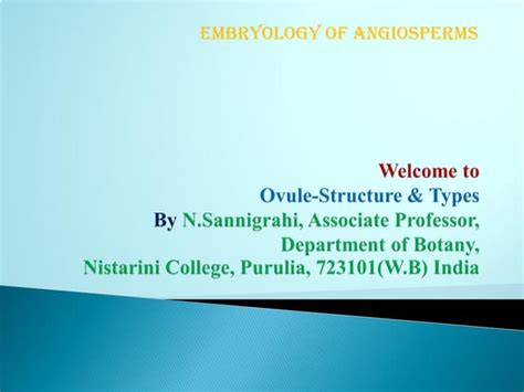 Ovule Structure Of Plants And Types Of Ovules Pdf