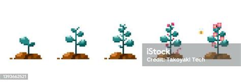 픽셀 아트 플랫 성장 단계 빈티지 90 년대 게임 꽃 성장 과정의 8 비트 아이콘 세트 지상 게임 고립 된 패턴의 벡터 픽셀 꽃