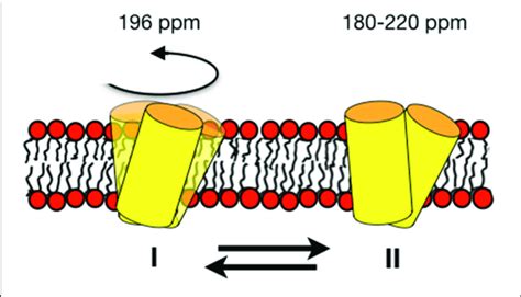 Schematic Representation Of An Equilibrium Between A Fast Moving