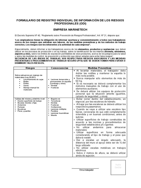 Ejemplo Formato Das Descargar Gratis Pdf Protector Solar