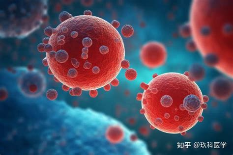 Crispr Cas系统 基因编辑技术已逐渐应用于疾病治疗 知乎