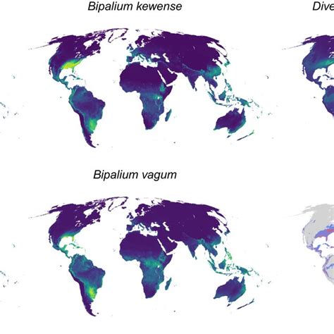 Predicted Suitability In Current Conditions Obtained From Ensemble