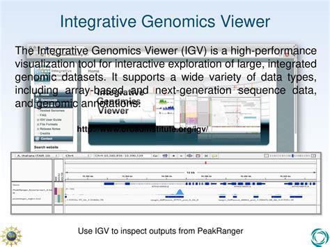 Advanced Chip Seq Identification Of Consensus Binding Sites For The Leafy Transcription Factor