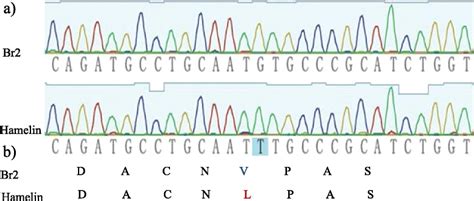 DNA Sequencing Identified One SNP Between Two Parents And DNA Download Scientific Diagram