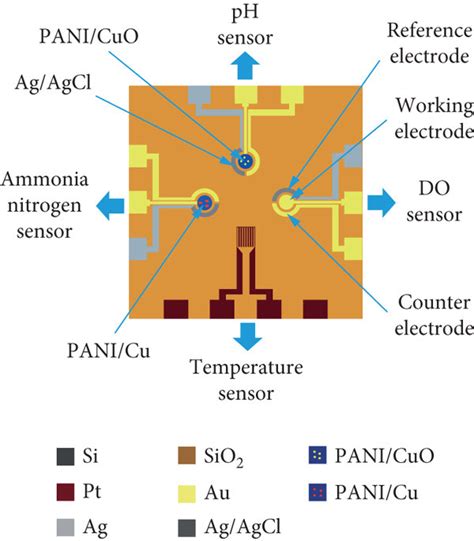 A Each Component Of The Sensor Surface B The Schematic Diagram Of Download Scientific