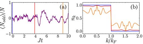 Solution Of The Mean Field Equations For A Single Experimental Run