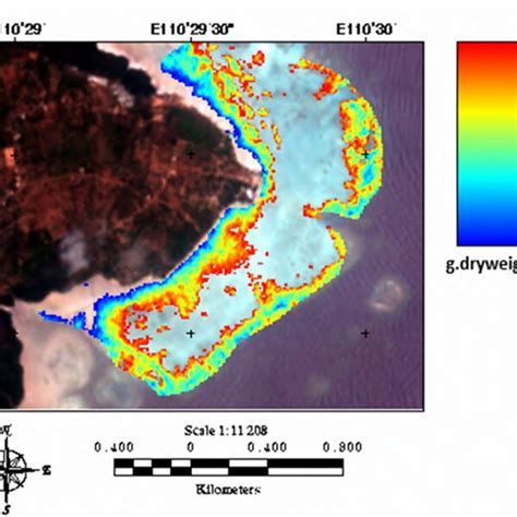 Seagrass Density At Pokemon Beach Download Scientific Diagram