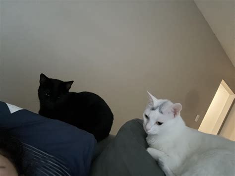 My Mom Keeps Bothering Me To Come Visit Her So She Can Keep An Eye On Me Because Shes Worried