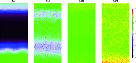 raman cross sectional interpolated maps recorded using the 457 nm laser