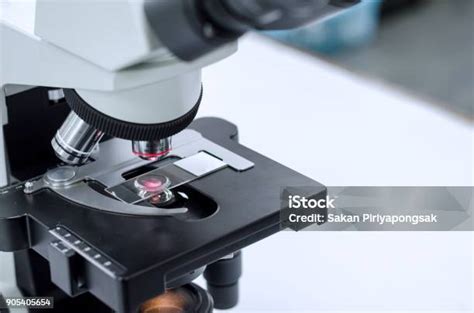 실험실 개념 유리 접시에 연구 및 테스트 샘플에 대 한 실험실 사용에 현미경의 일부 Dna에 대한 스톡 사진 및 기타 이미지