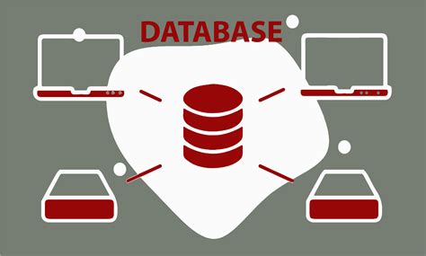i database una panoramica dei diversi tipi di database