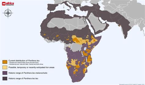 Outside Of India Where Would Be A Good Location For The Asiatic Lion