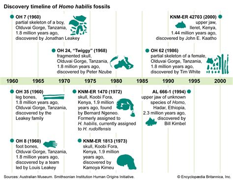 Homo Sapiens Evolution Migration Neanderthals Britannica