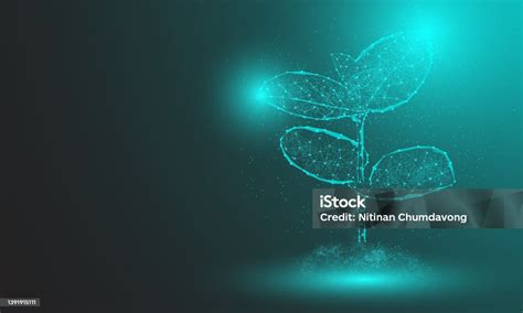 나무 진한 파란색의 식물의 디지털 벡터 윤곽선 성장 개념 환경 자연 생태학 낮은 폴리 다각형 메쉬 벡터 0명에 대한 스톡 벡터