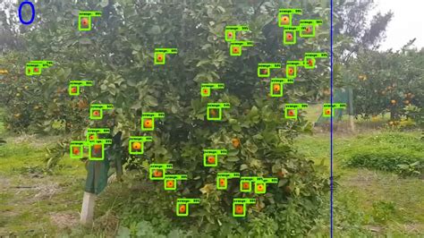 Anthony Kelly On Linkedin Computervision Imageprocessing