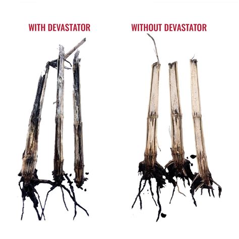 Yetter Stalk Devastator™ Yetter Farm Equipment And Manufacturing