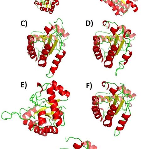 Multiple Sequence Alignment Generated By Clustalw Using The Sequences Download Scientific