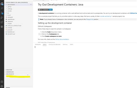 Open In Codespace Stuck In Java Extension · Issue 54 · Microsoftvscode Remote Try Java