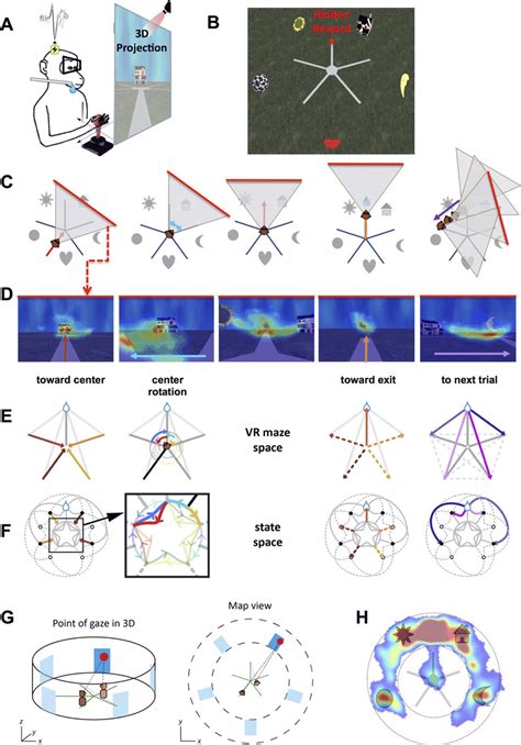Experimental Setup And Behavioral Task A Experimental Setup The