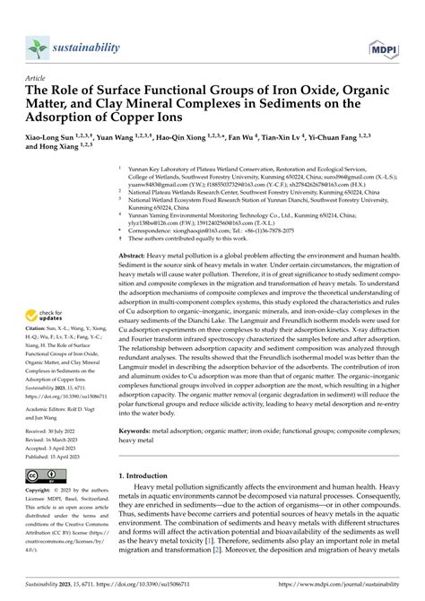 Pdf The Role Of Surface Functional Groups Of Iron Oxide Organic Matter And Clay Mineral