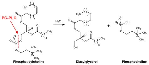 Phosphatidylcholine Specific Phospholipase C As A Promising Drug Target