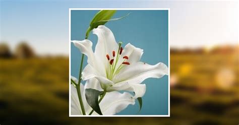 Robert Mcdowell Obituary February 2 2020 Atlantis Simple Cremations