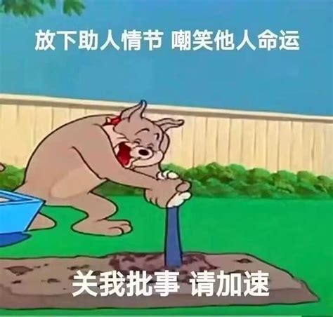 如何看待最近的网络舆论“放下助人情节，嘲笑他人命运”？ 知乎