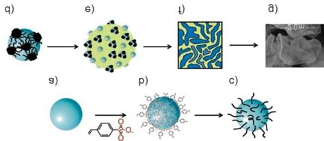 Scheme Describing The Polymerization Steps Occurring In Experiments 2 Download Scientific